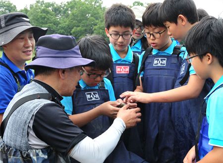 Frog observation - The Korea Times