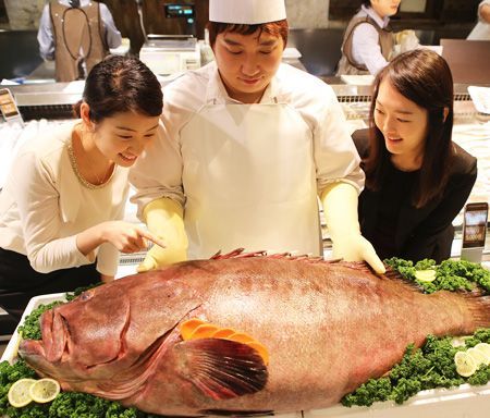 Giant saw-edged perch - The Korea Times