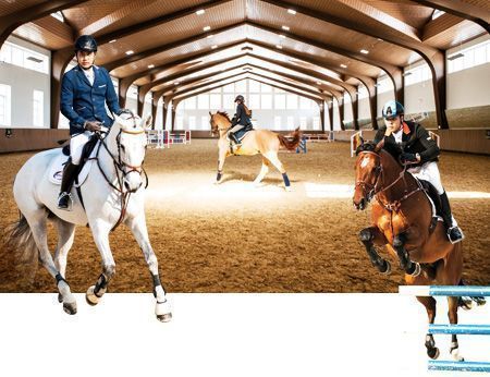 Riding high - The Korea Times