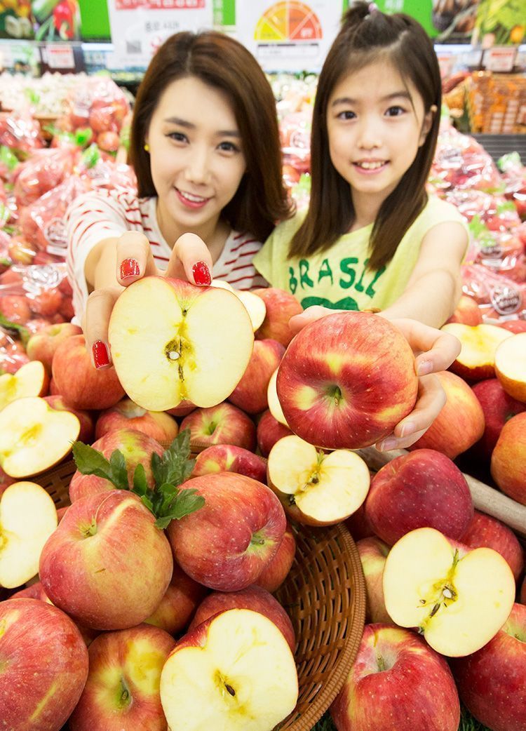 Newly harvested apples - The Korea Times