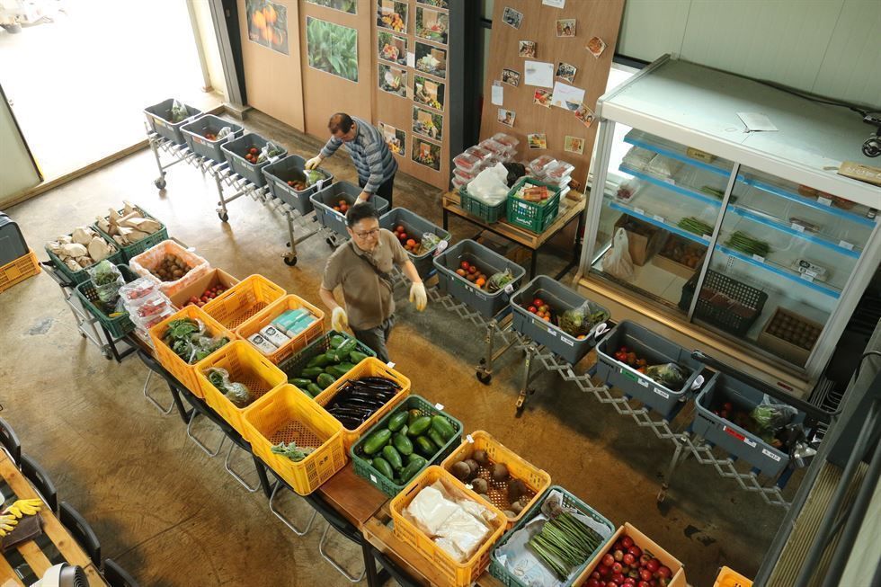 Murung Farm on Jeju sets example for agro-business - The Korea Times