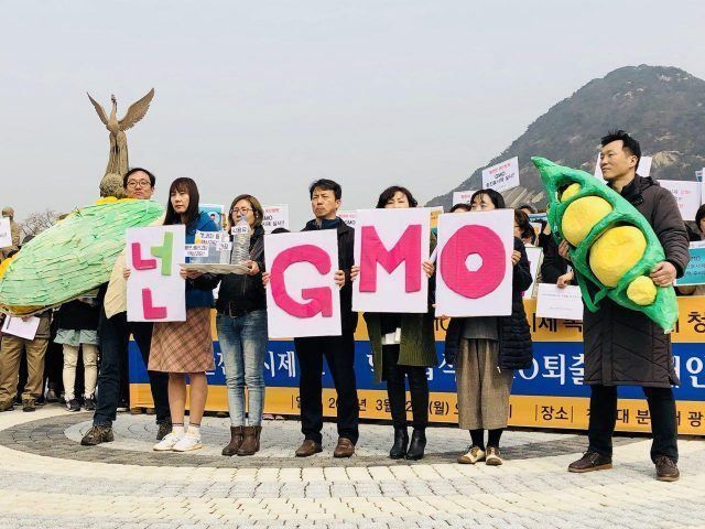 Monsanto targeted by anti-GMO activists - The Korea Times