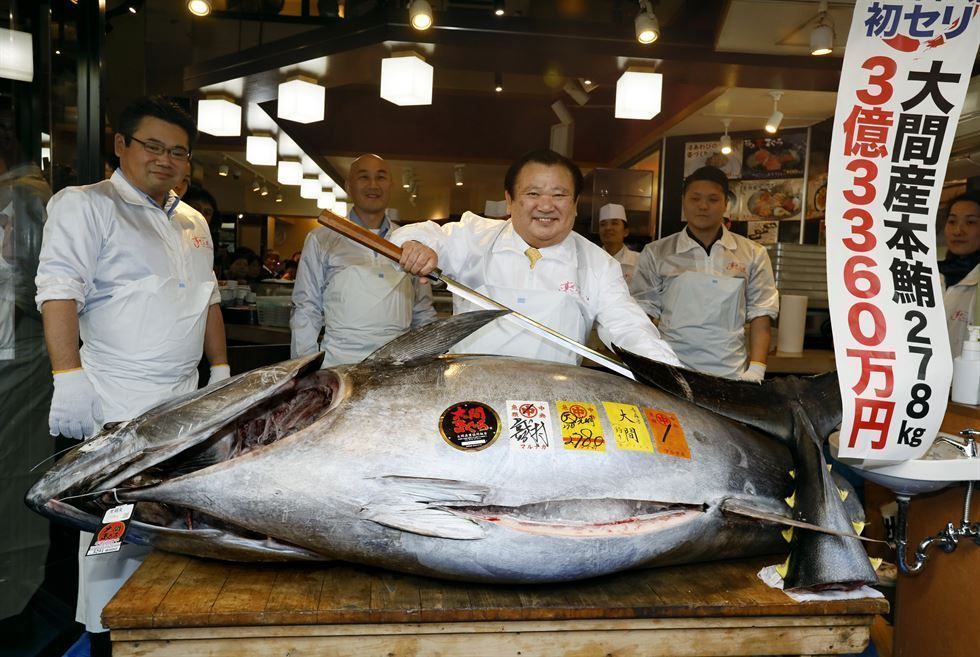 $3.1 million: Giant tuna auctioned off at record high price in Japan ...