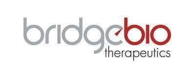 Bridgebio files lung cancer drug trial plans in US, Korea - The Korea Times