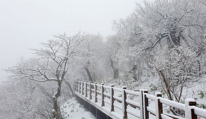 Unseasonal snowfall covers mountains in Gangwon Province - The Korea Times