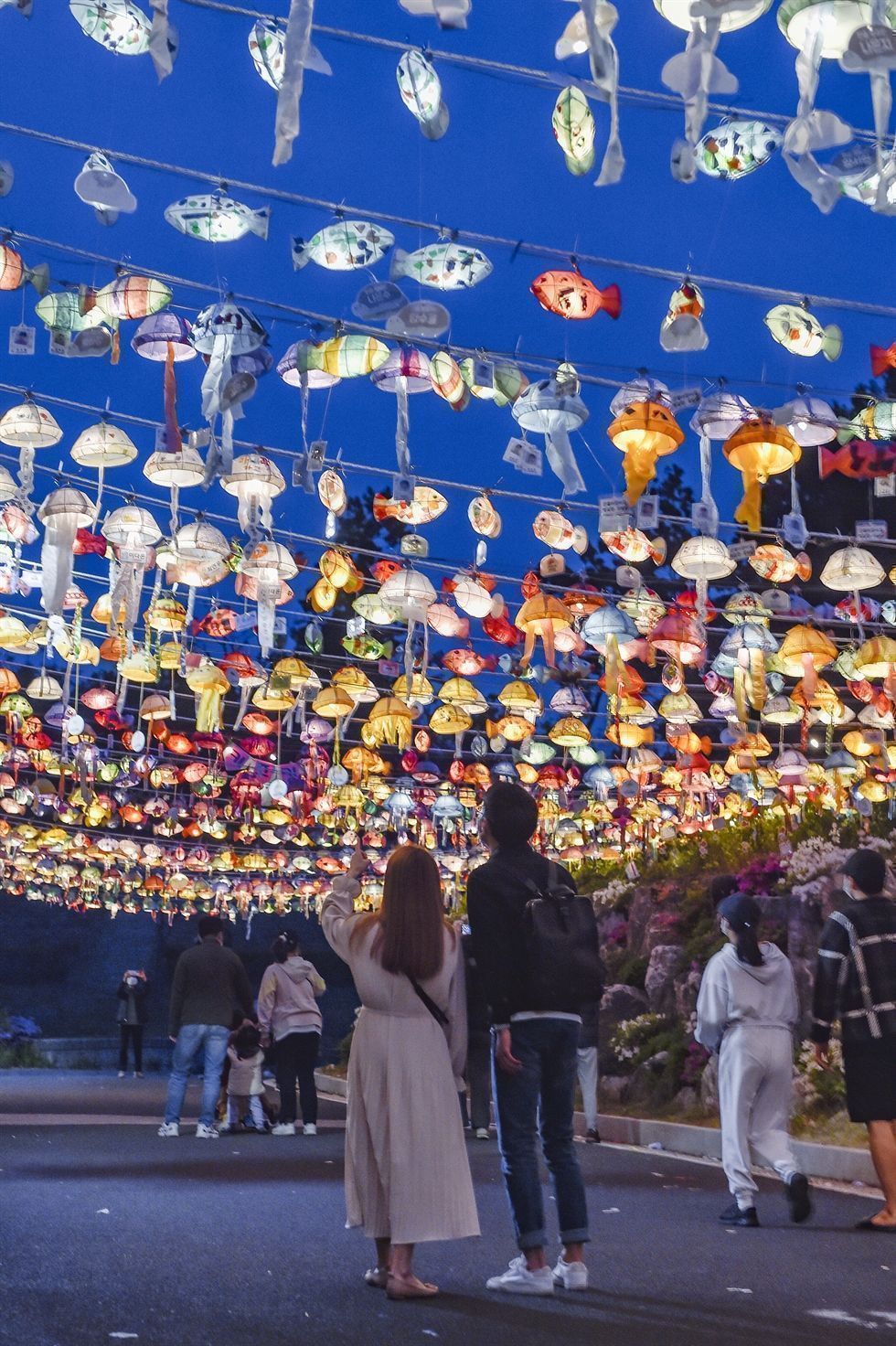 Hanji Lantern Festival 2025 – Lantern Festival Korea – GQUGX