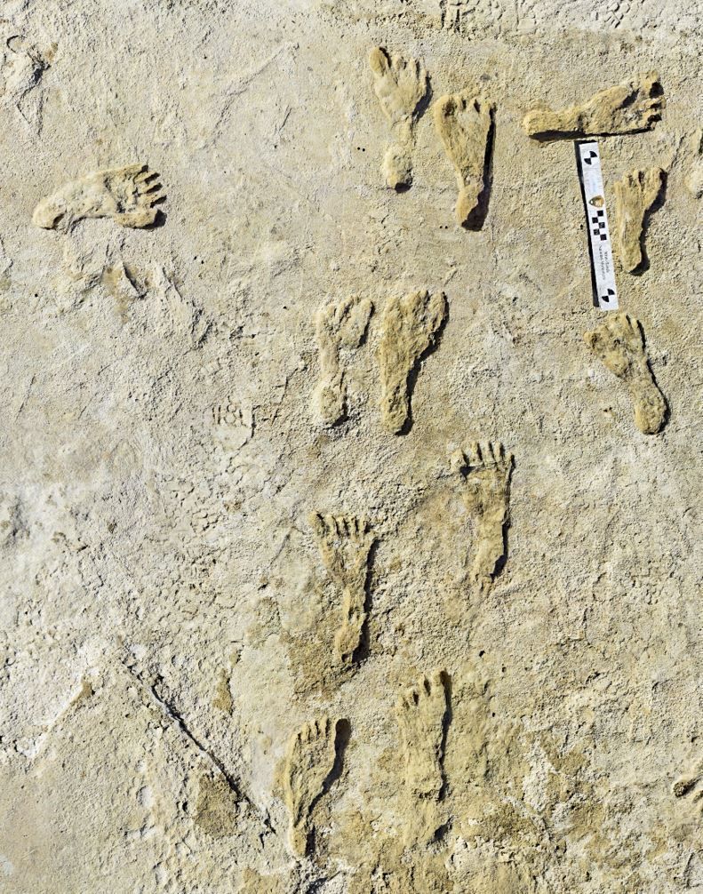 Ancient footprints rewrite humanity's history in the Americas - The ...