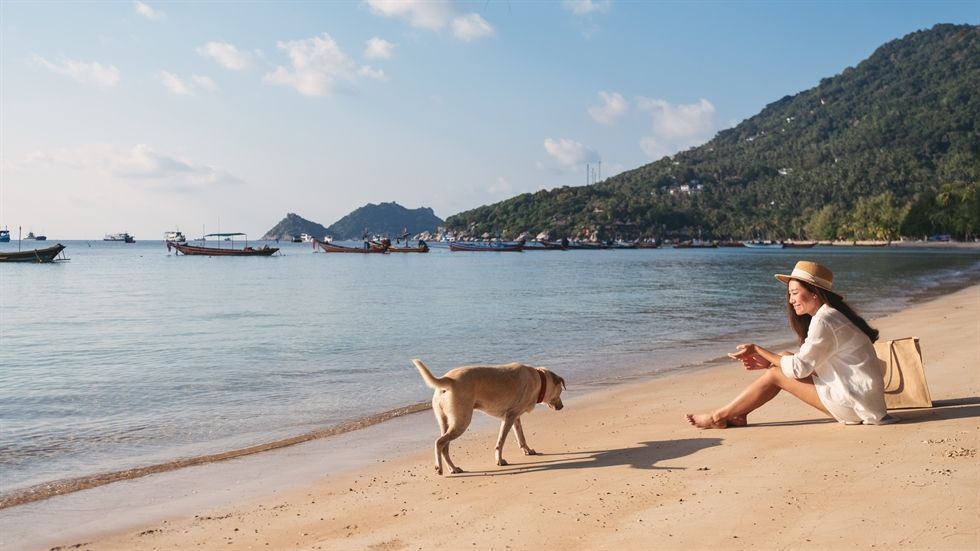 Jeju Island most popular destination for travel with pets - The Korea Times