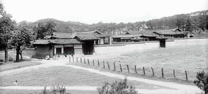 Heungseon Daewongun, the tiger with 'bowels of iron and a heart of ...