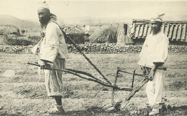 19th Century Farming 10,972 No Till Farming Stock Photos, High Res