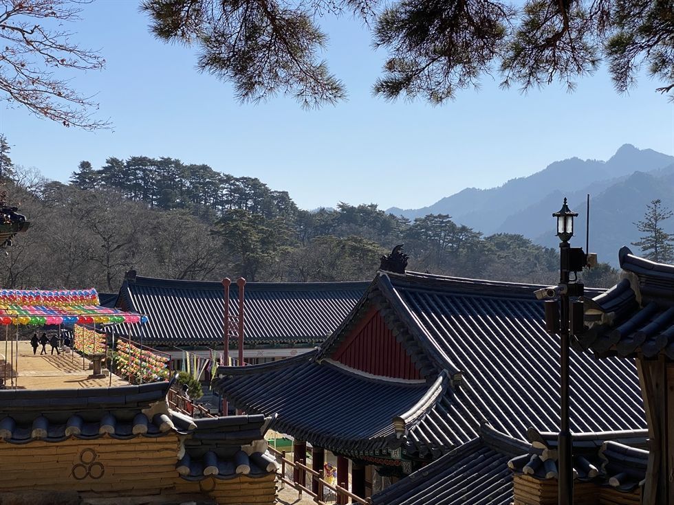 [RAS KOREA] Visiting Haein Temple over the decades - The Korea Times