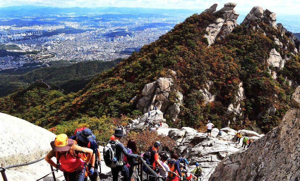 Seoul expands forests to introduce wind paths for cleaner air - The ...