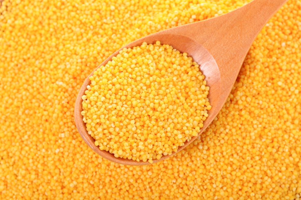 Millet trilogy: India serves G20 leaders a vegetarian dinner - The ...