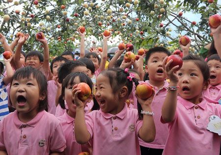 Peach Day - The Korea Times