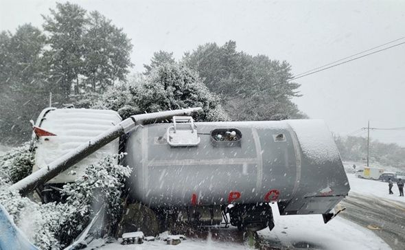 Snow falls in southern part of the country - The Korea Times