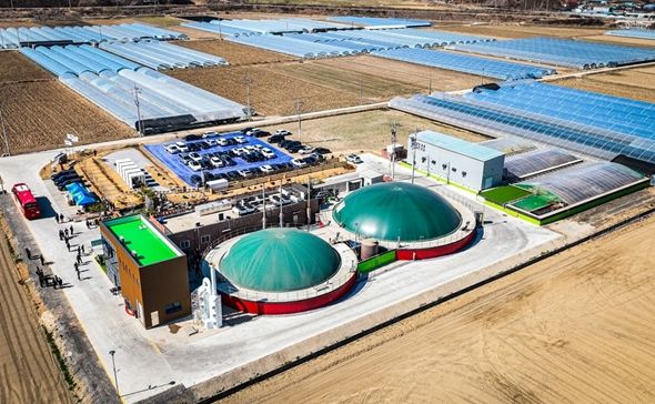 Animal waste generates alternative energy - The Korea Times