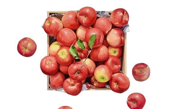 'Apple artist' Yoon Byung-rock finds universe in fruit - The Korea Times