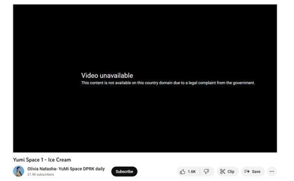 NK's YouTube vlog channels blocked in S. Korea on spy agency's request ...