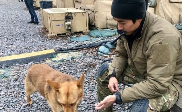 Nine South Koreans remain in Ukraine, many as volunteer fighters: gov't ...