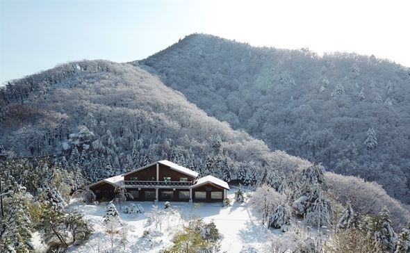 Snow covers mountains of Gangwon Province - The Korea Times